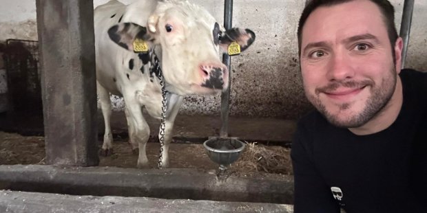 Česa so me naše krave naučile o opori Boga?