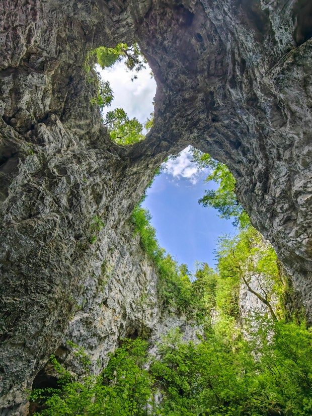 Rakov Škocjan – dolina naravnih mostov, v kateri boste našli tudi ...